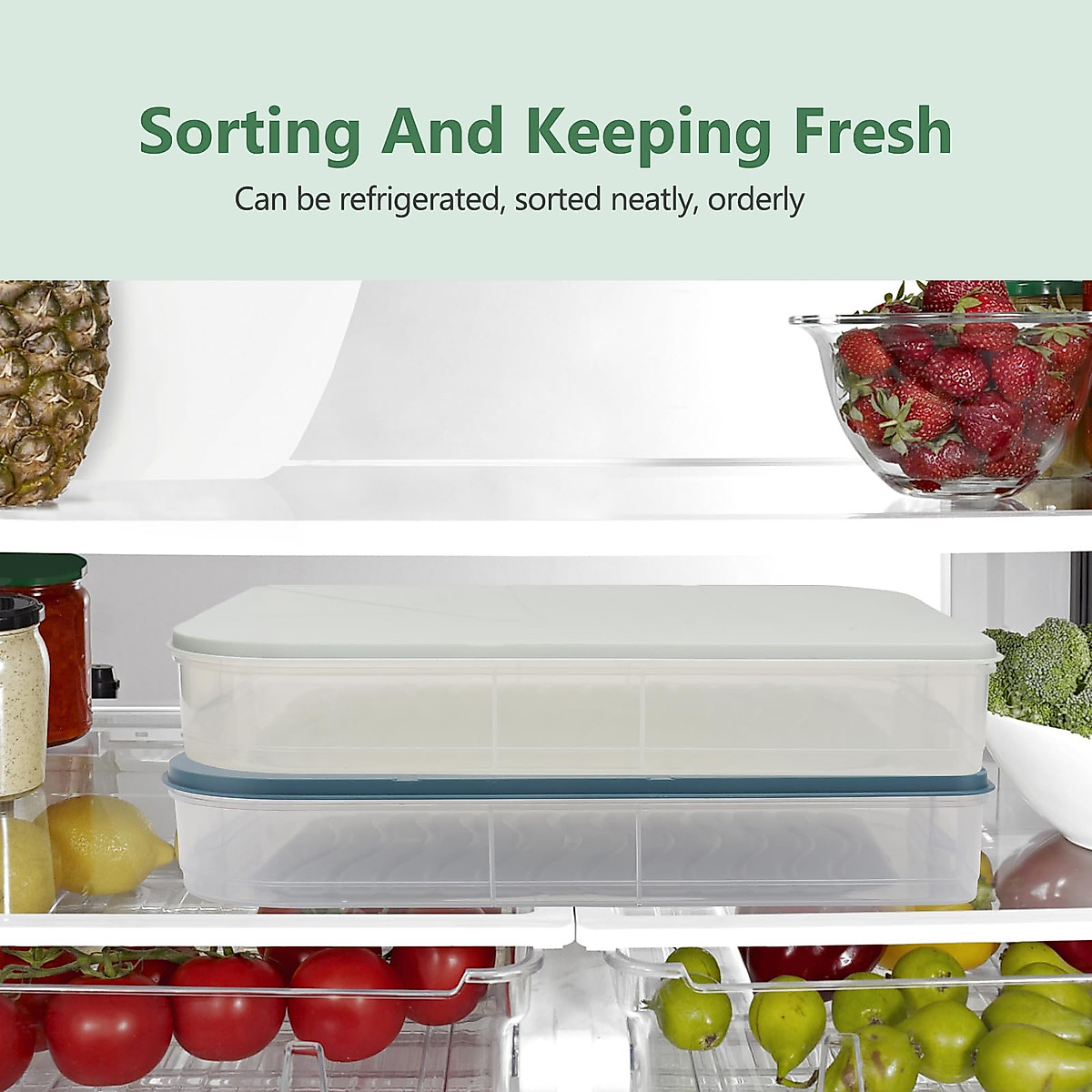 DECHOUS 3 Layer Food Storage Containers, Dumpling Box, Refrigerator Stackable Vegetable Organizer with Lid, Clear Food Crisper Keep Food Fresh Dumpling Containers Bin