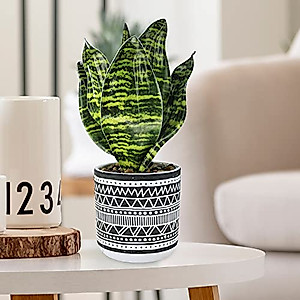 Winlyn 3 Pcs Small Potted Plants Artificial Succulents Hanging Plants and Faux Tropical Snake Plant in Black Geometric Pots for Modern Home Kitchen Windowsill Table Shelf Indoor Outdoor Greenery Decor