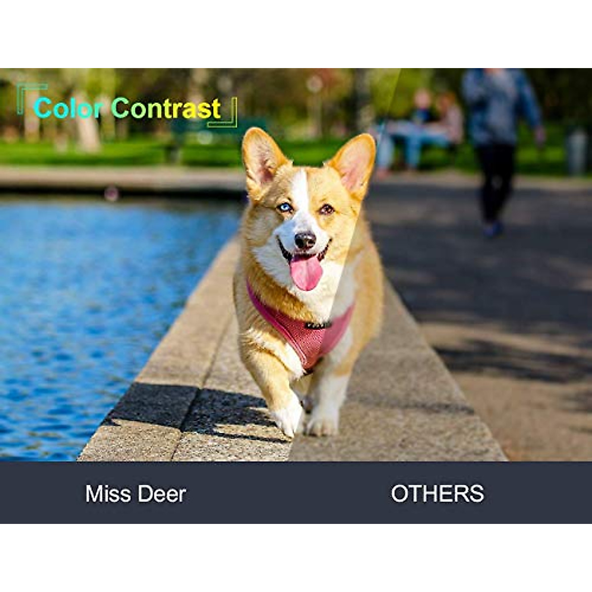 Miss Deer Upgraded LC3033 Ink Cartridges, Replacement for Brother 3033 LC3033XXL LC3033 LC3035XXL LC3035 Work for Brother MFC-J995DW MFC-J805DW MFC-J815DW (1Black, 1Cyan, 1Magenta, 1Yellow) 4 Pack