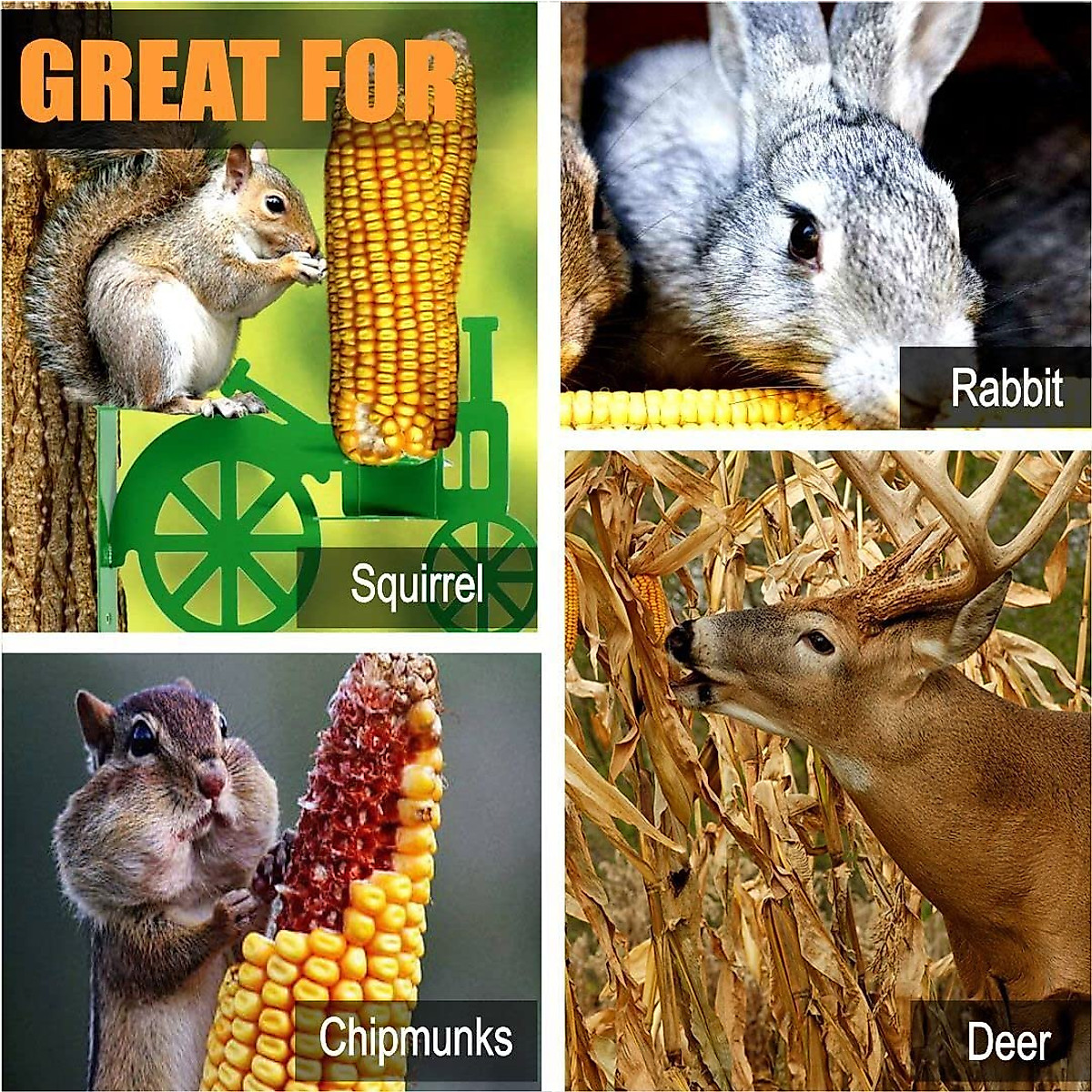 Old Potters Ear Corn for Animals - Approx. 13 lbs - Grown in USA Feed for Backyard Animals, Great for Squirrels, Deer, Rabbits, and Other Wildlife, 24-30 Count.