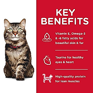 Hill's Science Diet Dry Cat Food, Adult 7+ for Senior Cats, Hairball Control, Chicken Recipe, 15.5 lb. Bag