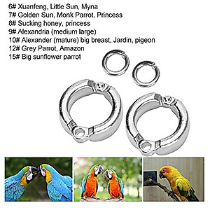 GLOGLOW Bird Foot Rings, 10Pcs Metal Bird Parrots Leg Ring Outdoor Fly Training Activity Opening Clip Accessories for Small Medium Large Birds Training