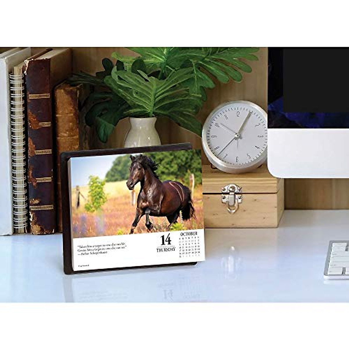 What Horses Teach Us 2021 Box Calendar