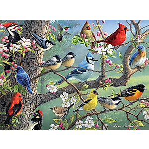 Buffalo Games - Hautman Brothers - Birds in an Orchard - 1000 Piece Jigsaw Puzzle