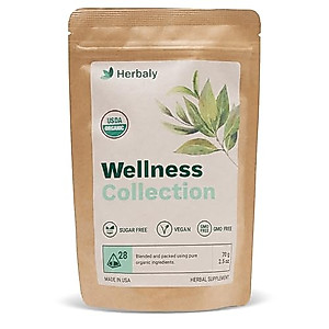 Herbaly Wellness Collection Organic Herbal Ginger Tea, 70 g, 28 Count Bag (Pack of 1)