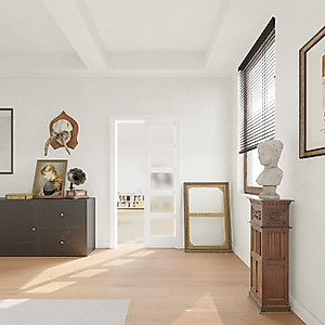 SOLRIG Sliding Pocket Door 30" x 80" - 5 Lites Tempered Frosted Glass Panels, Interior & Closet Single Door Slab, White Primed - Panel Assembly (Needed Without Hardware Kit