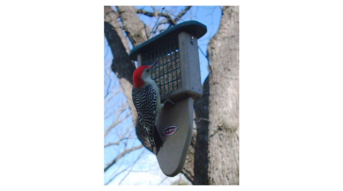 Kettle Moraine Recycled Single Suet Cake Feeder