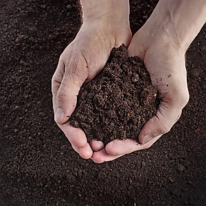 SuperMoss 01999 Agromin Organic Recycled Green Material Potting Mix, 4 Quart, Natural