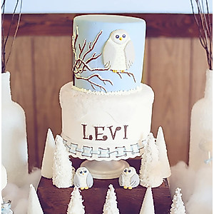 POP parties Snowy Owl Birthday Party Invitations - Blue - 10 Invitations 10 Envelopes