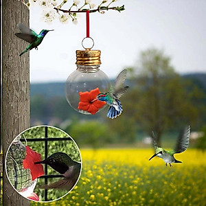 2Pack Mason Jar Hummingbird Feeder with Flower Feeding Ports for Outdoor Hanging Yard Garden Decoration Clear Reservoir Design, Portable 475ml,