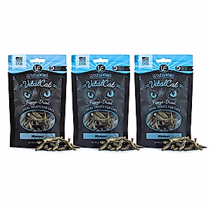 Vital Cat Vital Essentials Minnows Freeze-Dried Cat Treats - All Natural Raw Treat - Made & Sourced in USA - Grain Free - 0.5 oz Resealable Pouch - 3 Pack