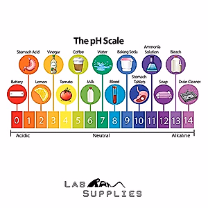 Plastic pH Test Strips, Universal Application (pH 0-14), 100 Strips | for Saliva, Soap, Urine, Food, Liquids, Water with Soil Testing, Lab Monitoring, etc.