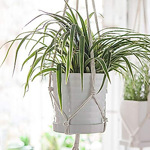 Brajttt Flower Pots,6 Inch Succulent Pots with Drinage,Indoor Round Planter Pots with Saucer,White Cactus Planters with Hole,Outdoor Graden Pots 4 Pack