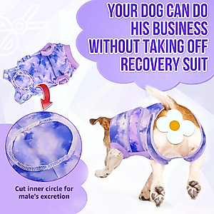 SlowTon Dog Surgery Recovery Suit - Zipper On Dog Onesies After Surgery for Female Male Dog, Abdominal Wounds Bandages Cone/E-Collar Alternative Dog Surgical Body Suit (Purple, M)