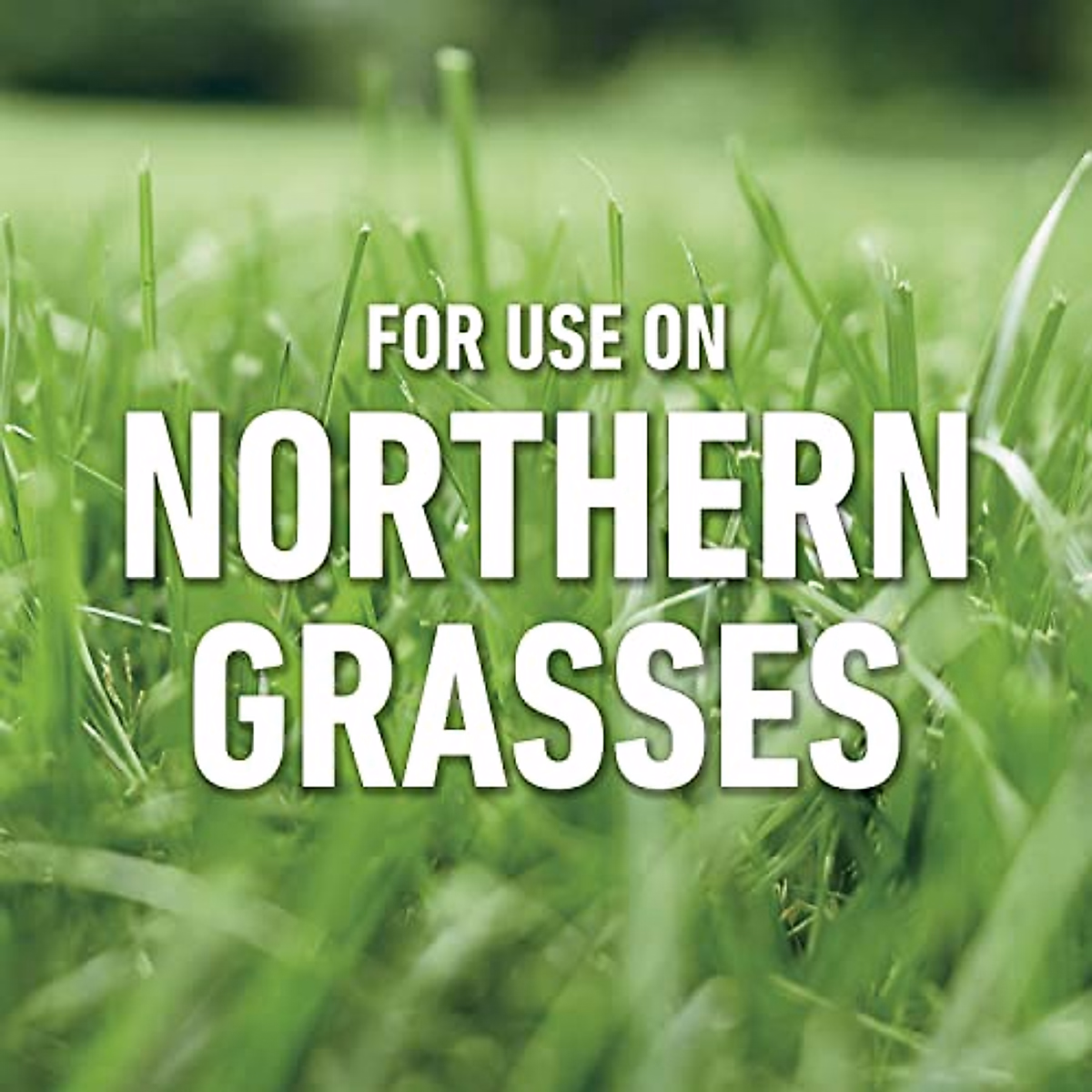 Roundup For Lawns₂ Concentrate, Weed Killer for Northern Grasses, Kills Crabgrass, 32 fl. oz.
