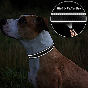TagME Reflective Nylon Dog Collars, Adjustable Classic Dog Collar with Quick Release Buckle for Small Dogs, Black, 5/8" Width