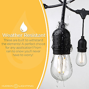 Hudson Lighting Outdoor String Lights - LED - for Patio, Garden, Deck, Backyard, Gazebo - 48 Feet - S14 – 15 Hanging Sockets - E26 Base - 2 Watt