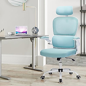 SOMEET Office Chair, Ergonomic Mesh Office Chair with Adjustable Headrest and Arms, High Back Ergonomic Desk Chair with Lumbar Support, Comfortable Home Office Desk Chairs with Tilt Lock (Blue)