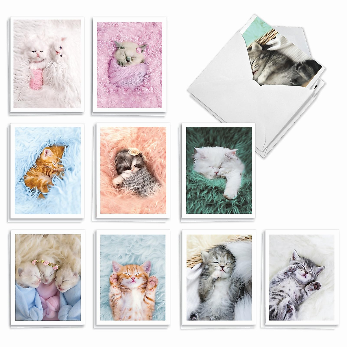 The Best Card Company - 20 Kids Invitation Note Cards with Envelopes (4 x 5.12 Inch) - Box of Assorted RSVP Invites (10 Designs, 2 Each) - Fluffy Furballs AM7168ING-B2x10