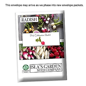 Pink Celebration Radish Seeds, 100+ Heirloom Seeds Per Packet, (Isla's Garden Seeds), Non GMO Seeds, Botanical Name: Raphanus sativus