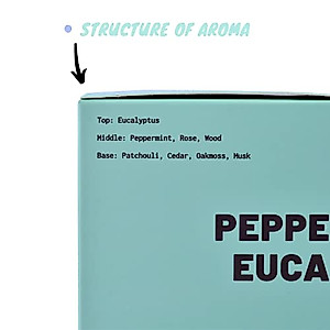 Peppermint & Eucalyptus, Premium Scented Candles, Non Toxic, 46h Burn, 8.1oz Soy Wax, Aromatherapy, Strong and Long Lasting Jar Candle for Home, Gifts for Women and Men, Spring Candle, Velas Aromatica