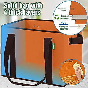 LALABAG Reusable Grocery Bag (Pack of 3) - Heavy Duty Box with High Load Carrier, Foldable, Perfect for Shopping, Gifting, Storage (Orange)