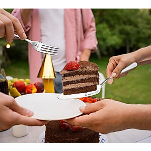 iooiluxry Cake Cutting Set for Wedding, Wedding Cake Knife and Server set Silver Cake Cutter Set and Pie Server Spatula for Wedding Anniversary Birthday Christmas Gifts (Silver)