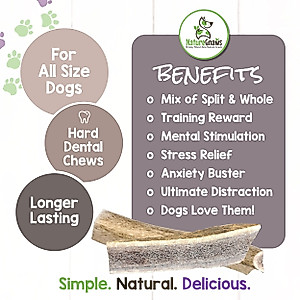 Nature Gnaws USA Elk Antlers for Dogs 5-8" (3 Count) - Mix of Split and Whole Pieces - Long Lasting for Aggressive Chewers - Natural Dog Chew Bones