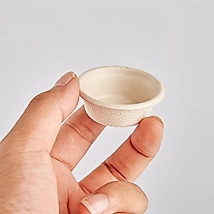 QIHYCUF Paper Feeding Cups Samll 0.5 oz Gecko Food and Water Feeding Dish Ledge Accessories Bowls for Crested Gecko Lizards Reptiles Pets (100cups)