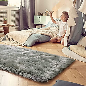 Ophanie Ultra-Luxurious Fluffy Rectangle Area Rug,Soft and Thick Faux Fur Rug,Grey Rug Non-Slip,Fuzzy Rug for Bedroom or Living Room,Shag Rug,3x5 Feet, Grey