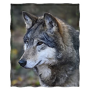 Levens Wolf Blanket Gifts for Men Boy Girls, Grassland Animals Decoration for Home Bedroom Living Room Couch, Soft Warm Cozy Lightweight Throw Plush Blankets Grey 50"x60"