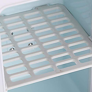 HUANGXING - Mini Fridge, 6 Liter AC DC Portable Electric Cooler and Warmer Silent Cosmetics Refrigerator Compact Personal Beauty Makeup Skincare Fridge for Skincare Bedroom Travel Car Dorm Foods(US)