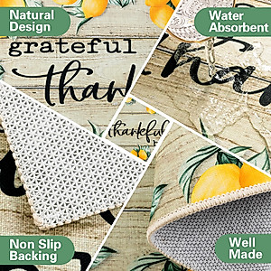 Asrug 2 Pieces Kitchen Rug Set Non-Slip Backing Mat Natural Design Throw Rug for Kitchen Doormat Runner Rug Set, Lemon Design, 17"x48"+17"x24"