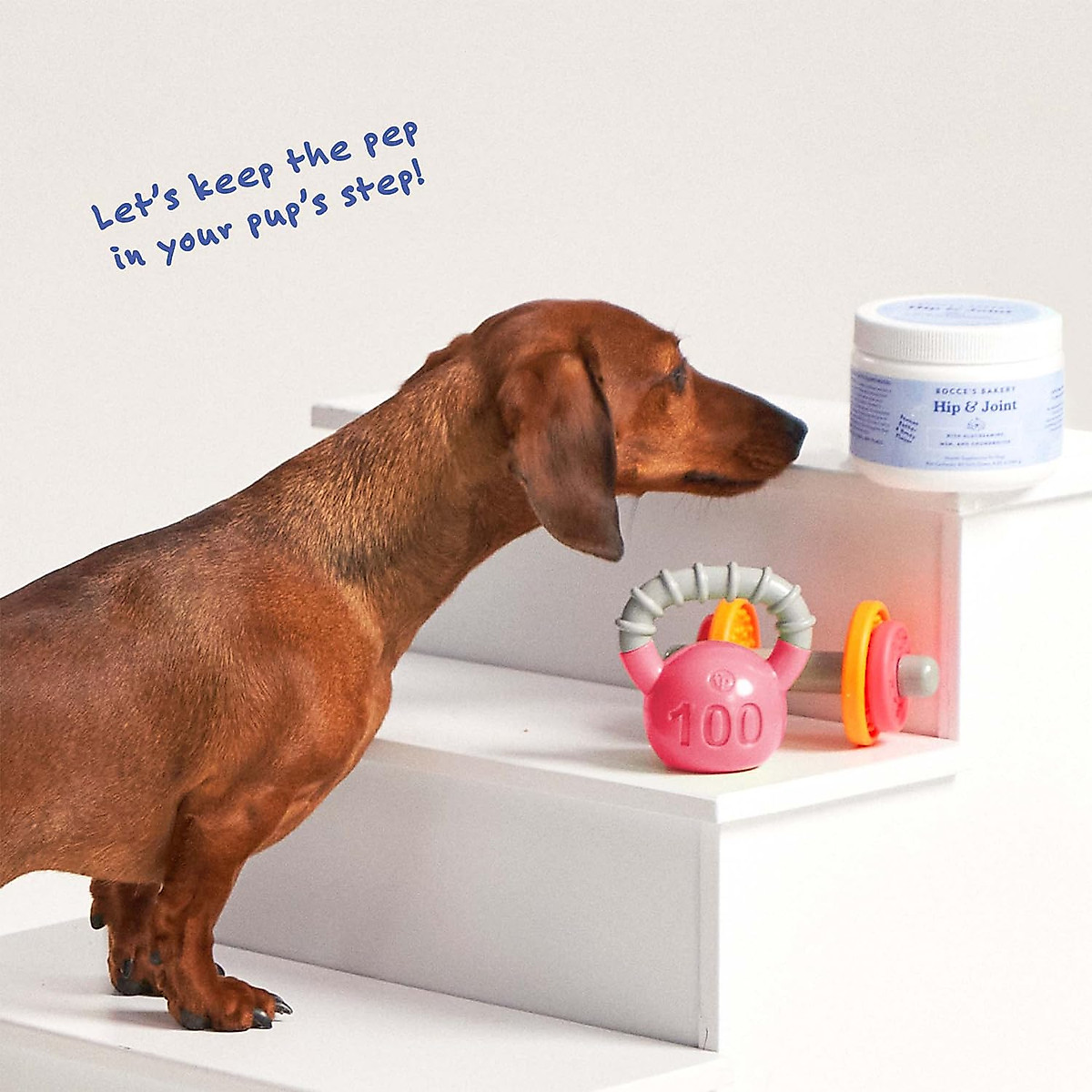 Bocce's Bakery Hip & Joint Supplement for Dogs, Daily Chews Made in The USA with Glucosamine, MSM, and Chondroitin, Supports Healthy Joints, Peanut Butter & Honey, 60 ct