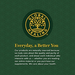 Global Healing Quercetin 250mg Supplement to Support Immune System Function, Respiratory Health & Body's Response to Occasional Allergies -Quercetin Supplements Without Bromelain & Zinc-60 Capsules