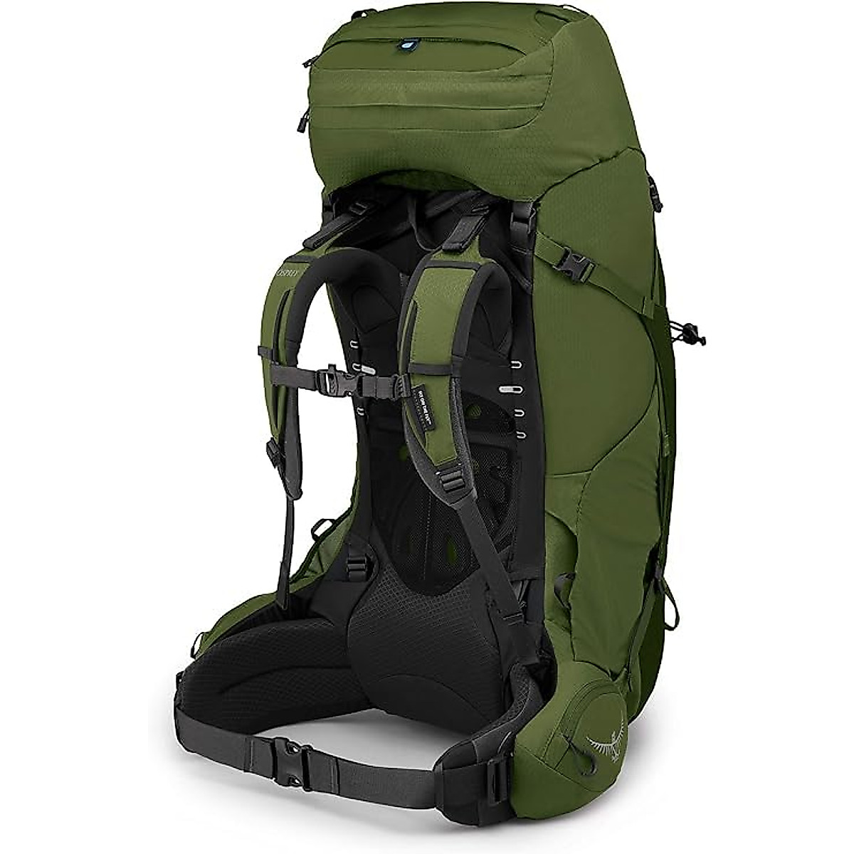 Osprey Aether 65 Men's Backpacking Backpack , Garlic Mustard Green, Large/X-Large