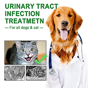 Dog UTI Treatment Cat Urinary Tract Infection Treatment Drops Cat UTI Remedy - Natural Formula Rich in Cranberry and Vitamin C