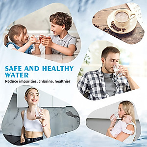 Water Filter Replacement for Water Filter Black Activated Carbon Filters，Compatible with Doulton Super Sterasyl and Traveler, Nomad, King, Big Series