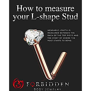 Forbidden Body Jewelry 2 Pack Heart Nose Ring, Heart Nose Stud, L Nose Rings, Heart Nose Rings, 18g 6mm Surgical Steel L Shaped Nose Ring with 3mm Heart CZ Crystal