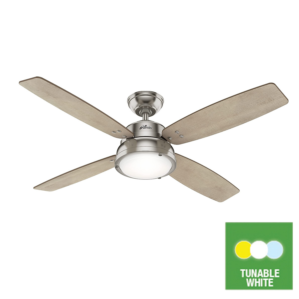 Hunter Fan Company 50388 Wingate Ceiling Fan, Brushed Nickel Finish