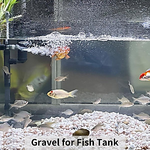 FANTIAN 2 lbs White Gravel, 3/8 Inch White Pebbles for Indoor Plants. White Stones for Succulents, Planters, Vase and Outdoor Garden Landscaping