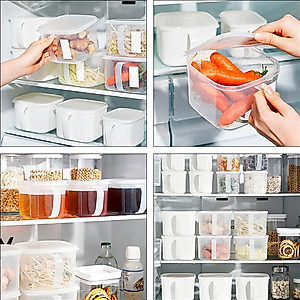 HANABASS 2Pcs Plastic Storage Containers Square Food Storage Organizer with Lid Handle Plastic Food Storage Containers with Lids for Fruits Vegetables Meat Egg