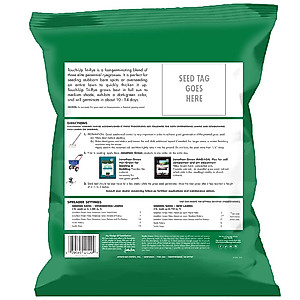 Jonathan Green (12120) Touch-Up TRI-RYE Perennial Ryegrass Grass Seed - Cool Season Lawn Seed (3 lb)