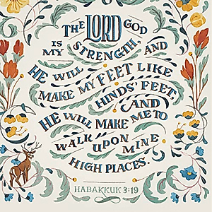 Hinds' Feet on High Places: An Engaging Visual Journey (Visual Journey Series)