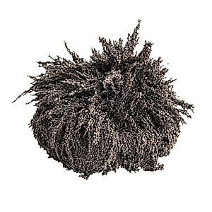 Dowling Magnets Iron Filings, Jar (12 ounces) with shaker lid