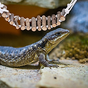 Ipetboom Climbing Pet Suspension Bridge Lizard Accessories Tank Reptile Decor Tank Reptile Ladder Terrarium Reptile Decor Wooden Reptile Ladder Hanging Reptile Decor Wooden Lizard Ladder