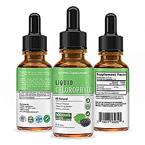 (2 Pack) Liquid Chlorophyll Drops 6000MG Maximum Strength Green Concentrate Packed with Antioxidants Minerals and Vitamins 2 FL OZ Bottle (2 Bottles)