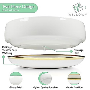 Large Succulent Planter with Drainage Tray - 10 Inch White Bowl with Metallic Gold - Modern Bonsai, Cactus, & Succulent Pot with Saucer - No Plants Included