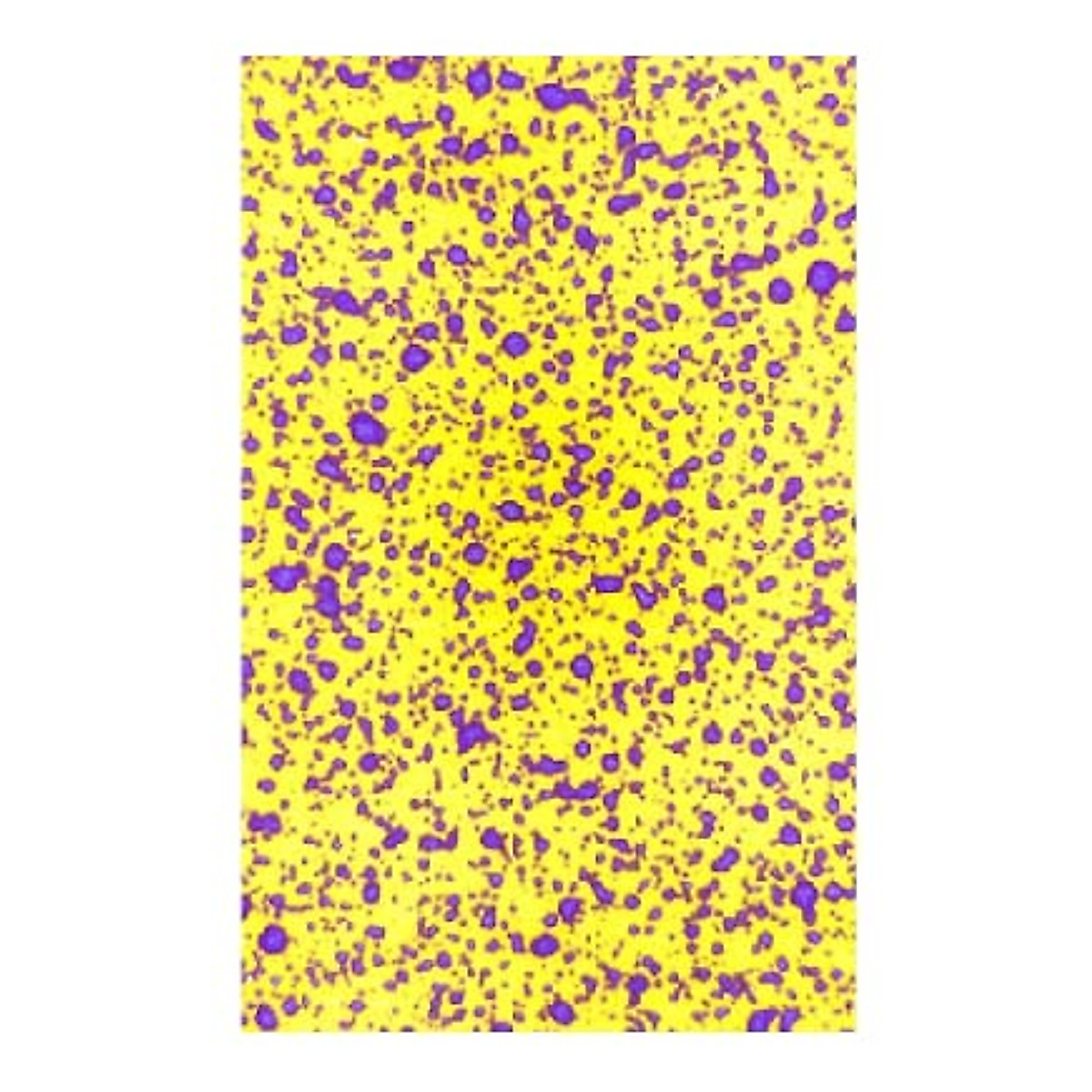 FGI SpotOn Water Sensitive Paper (WSP) for Sprayer Calibration - One Pack of 2 x3 Paper - 25 Sheets Per Pack - Reduce Waste and Ensure Consistent Application of Spray Droplets - Assess Spray Coverage