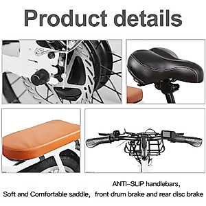 BRIGHT GG Electric Bike for Adults 20" 250W Electric Bicycle with 36V10AH Lithium Battery, Charger and Locks